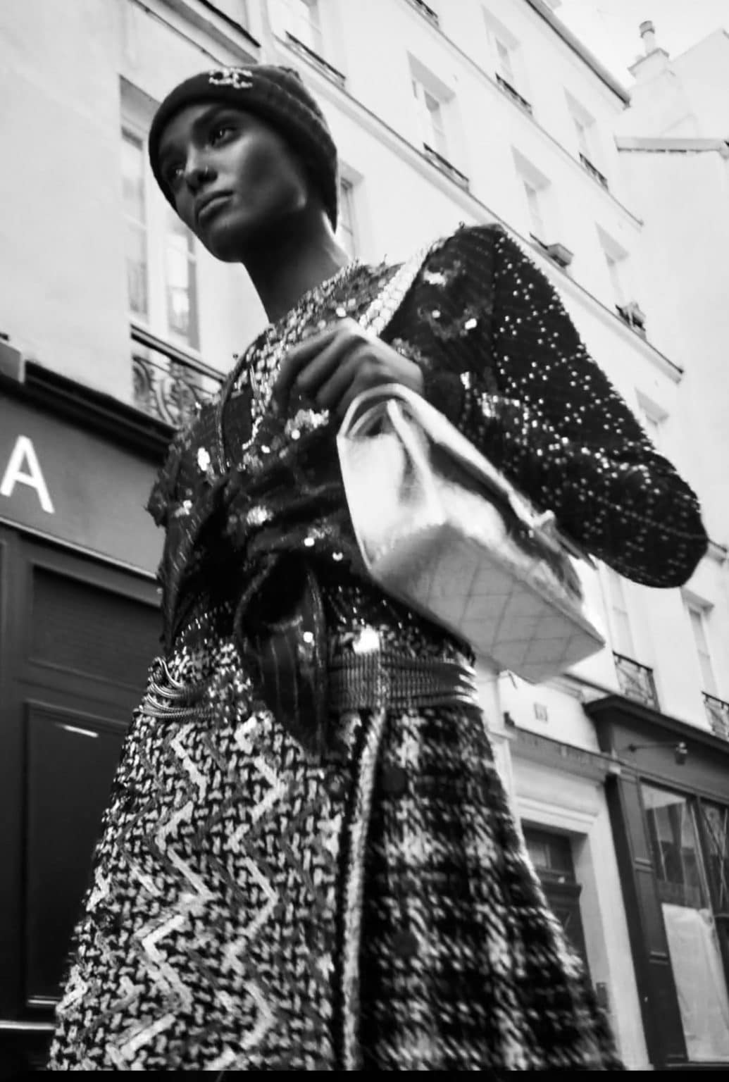 Chanel Fall Winter 2021 Handbags | semashow.com