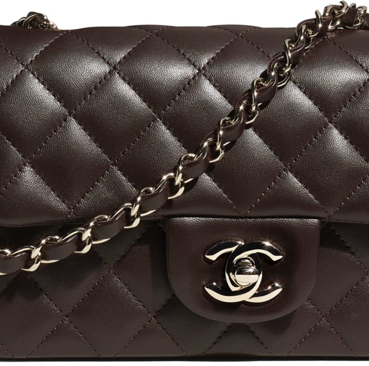 Chanel Pre-fall 2021 Metiers d'Art Bag Collection featuring ...