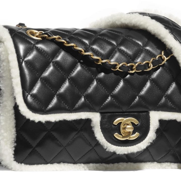 Chanel Pre-fall 2021 Metiers d'Art Bag Collection featuring ...